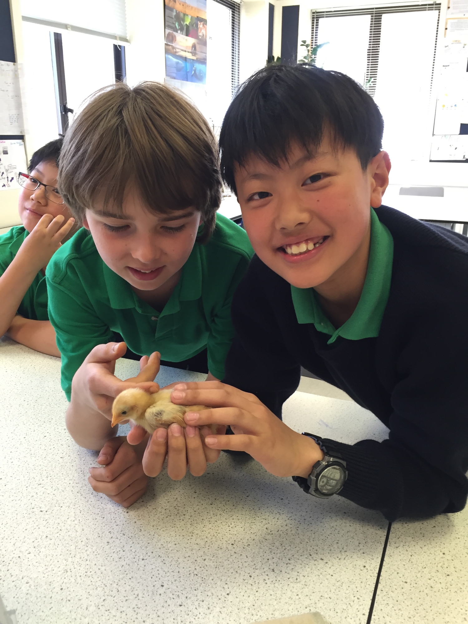 Independent Boarding & Day School in Oxford | Summer Fields School